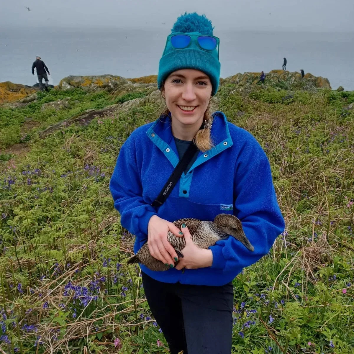 Katherine Booth Jones | Women in Seabird Sci